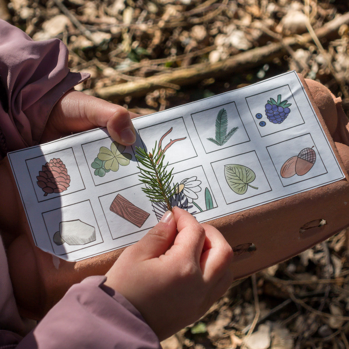 Natur Sammelbox Wald - Eierkarton Vorlage zum Ausdrucken als PDF – LillyGo